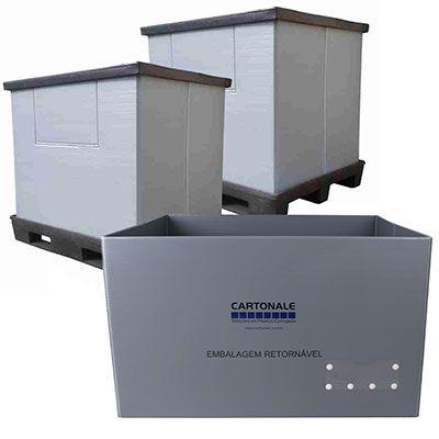 PALLET DE MANGA - Solucões Industriais